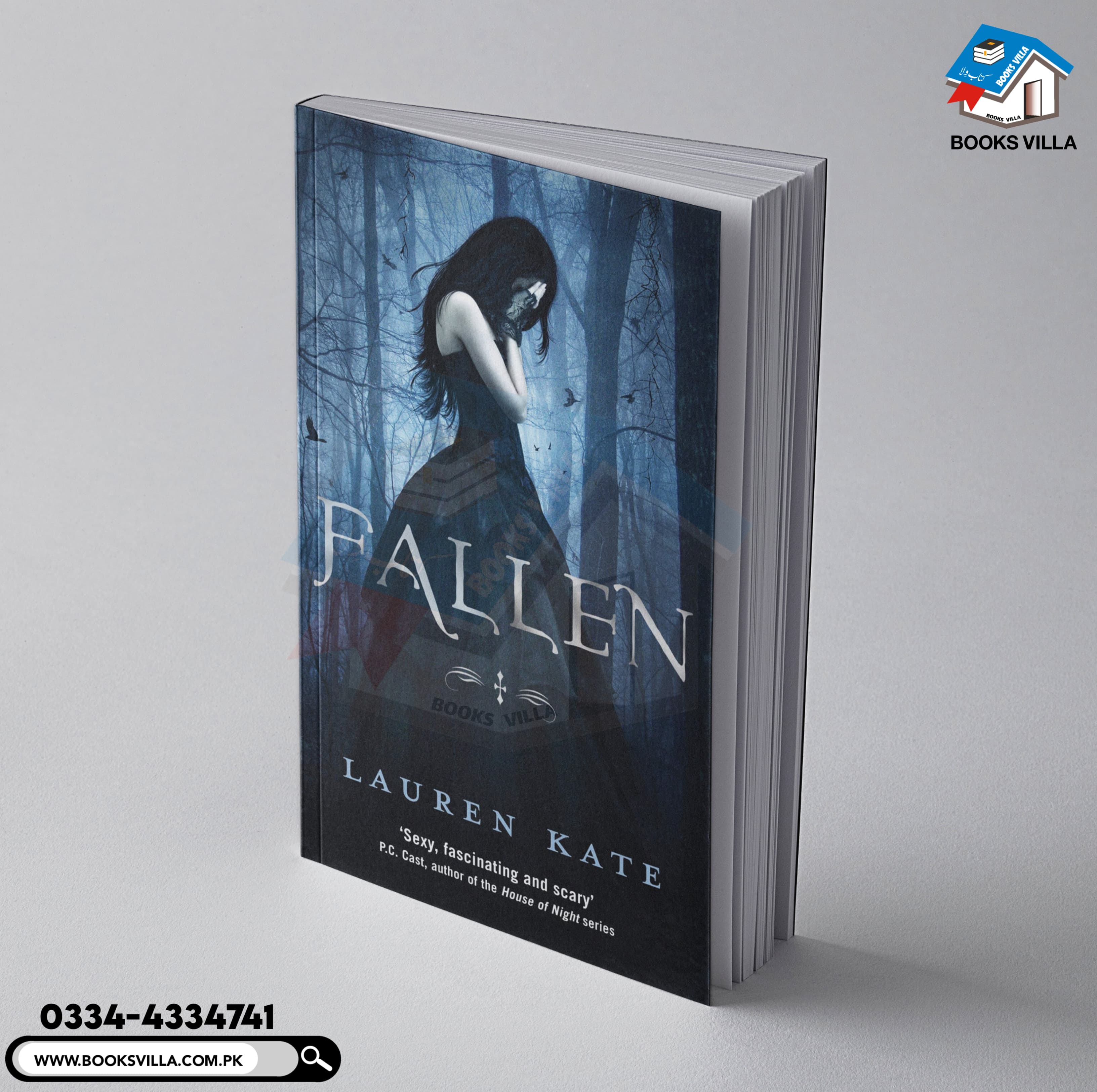 Fallen Series 01 - Fallen